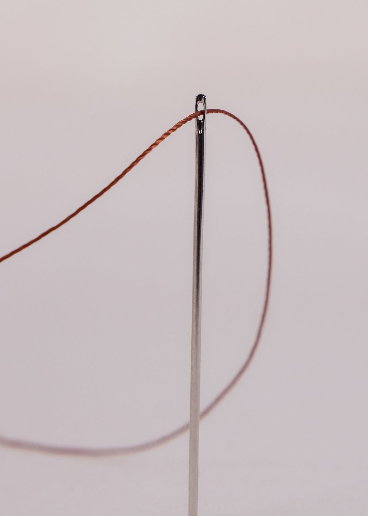 Polène | Bag - Cyme - Textured Root – Polène AU